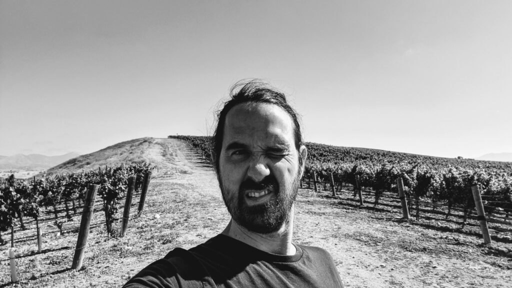 Cellr: How The Great Brain Cell Sacrifice Made Wine Drinkers into ...